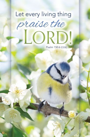 Spring – Praise the Lord, Psalm 150:6 (CEB) – Pkg 100 – Standard ...
