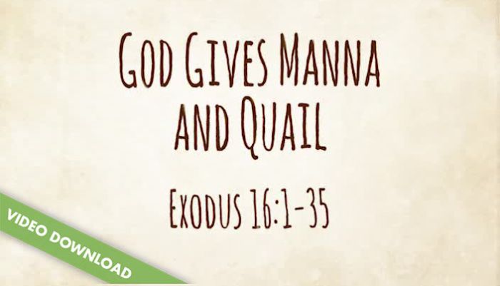 Inspire! Video Download - God Gives Manna and Quail (Exodus 16:1-35 ...
