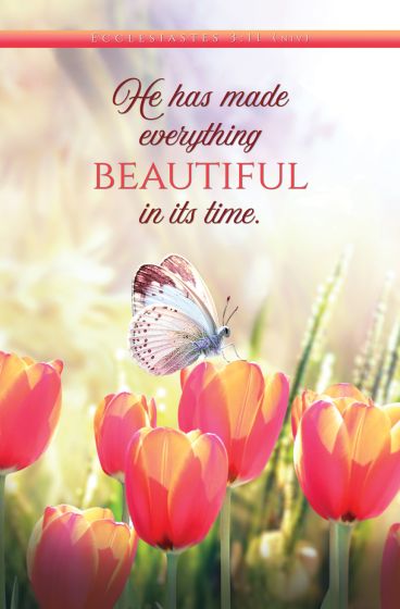 General - Spring; Ecclesiastes 3:11 (NIV) - Pkg 100 - Standard Bulletin ...