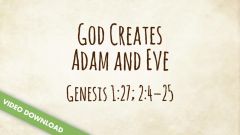 Creation - Bible Stories - Kids - Warner Press