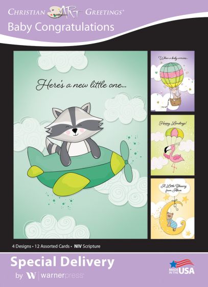 Baby Congratulations - Special Delivery - NIV - Box of 12 - Assorted ...